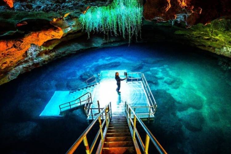 15 Crystal-Clear Springs in Florida Locals Love (With Swimming Spots ...